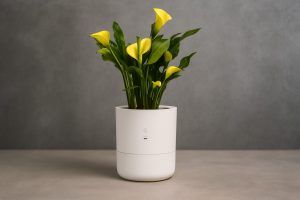 LeafyPod AI Planter: The Self‑Watering Gadget That Promises You’ll ...