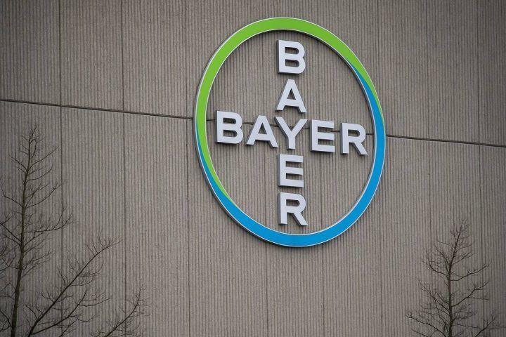 Bayer Stock Rockets on U.S. Roundup Breakthrough – Is the 13% Rally the ...
