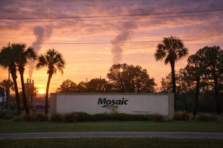 BP (BP.) share price rebounds as oil jumps; buyback update and Petrobras–Lightsource bp solar JV ...