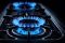 Natural gas price steadies near $4 as UNG stock climbs; traders await ...