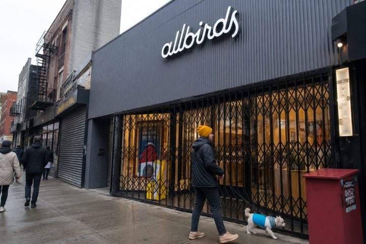 Allbirds rallies after Smartbird AI pivot puts BIRD in focus